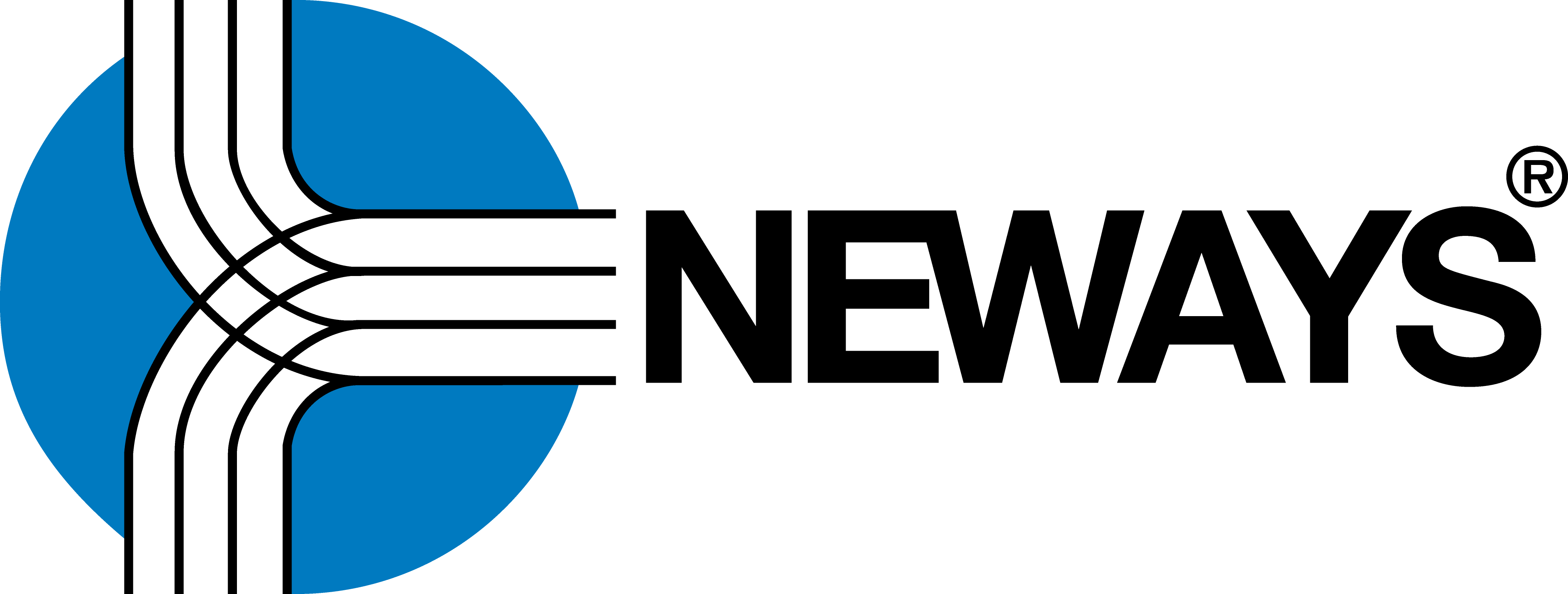 Neways Electronics Riesa GmbH & Co. KG - AMZ Sachsen